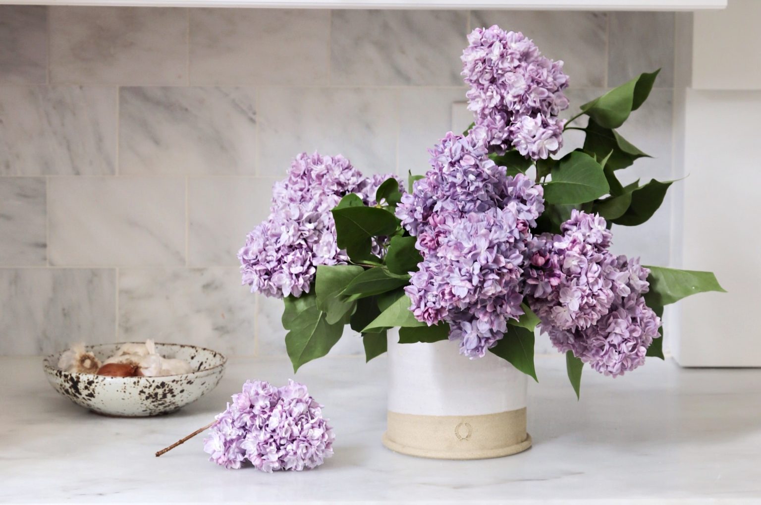 How to keep your lilacs fresh longer - Lemon Grove Lane