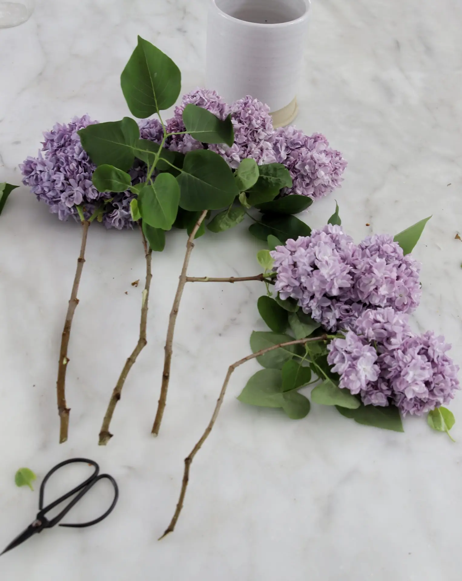 How to keep your lilacs fresh longer - Lemon Grove Lane
